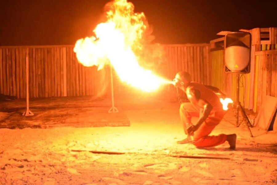 Falmouth: Bioluminous Lagoon Tour with Fire Dance - Who Is This Tour Best For?