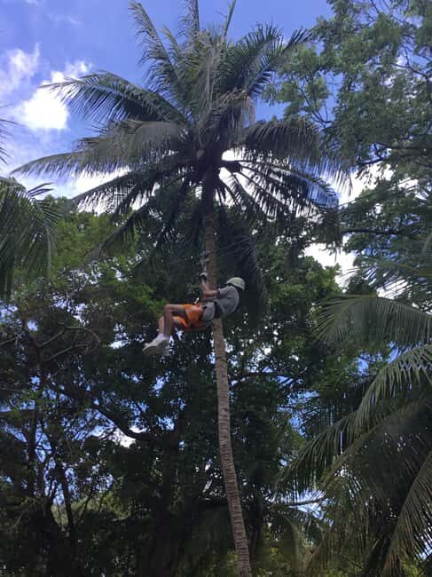 Falmouth: Dunn's River Falls, Blue Hole, and Zipline Tour - What It’s Like: The Realities and the Rationale