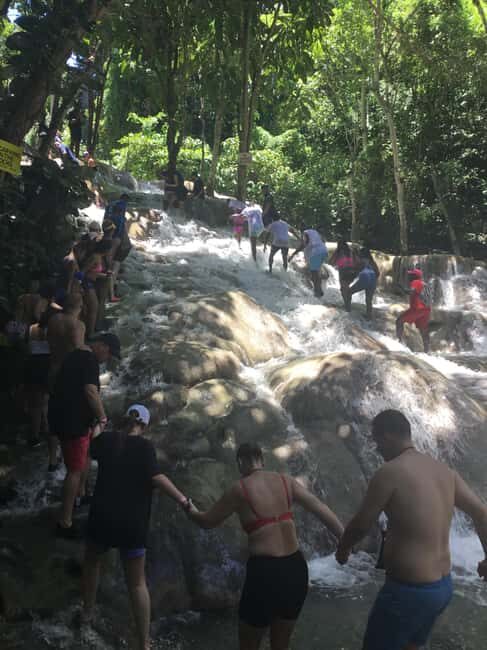 Falmouth: Dunn's River Falls Tour With Blue Hole - Who Will Love This Tour?