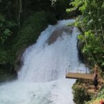 Falmouth Jamaica Private Chauffeur and Guide - Practical Tips for Booking & Making the Most of Your Day