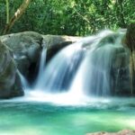 Falmouth: Mayfield Falls Day Trip with Transportation - Final Thoughts: Who Will Love This Tour?