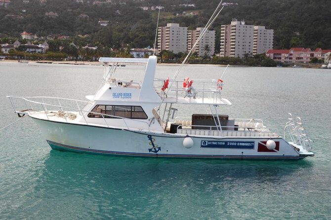 Falmouth Shore Excursion: 2-Tank Certified Scuba Diving Tour - The Practicalities You Need to Know