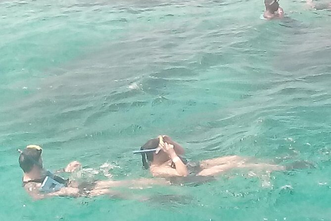 Falmouth Shore Excursion: Private Snorkel Tour - Final Thoughts