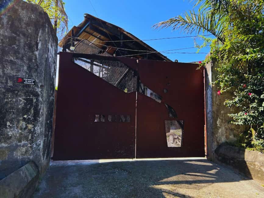 Falmouth Tour: Hampden Estate Rum Tasting Tour - Practicalities and Tips