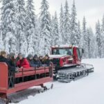 Family Après Dome and Sleigh Ride in Whistler - Practical Details That Matter