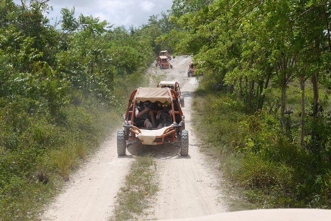 Family Buggy Adventure in Punta Cana - Who Should Book This Tour?