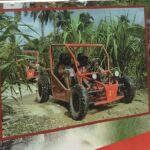 Family, Buggy Adventures, Tours, Macao Beach. Lowest Price. - Authenticity and Value