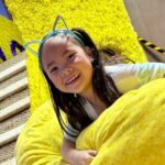 Family Cat Adventure Escape Room - What to Expect from the Family Cat Adventure Escape Room