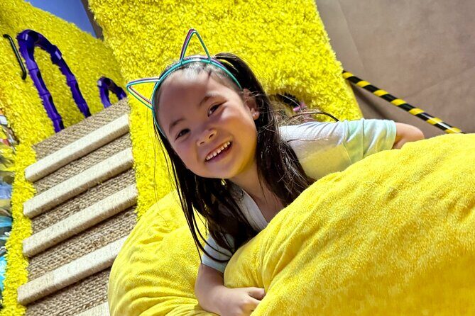 Family Cat Adventure Escape Room - What to Expect from the Family Cat Adventure Escape Room