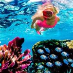 Family Fun-Snorkeling with Lunch Stop from Montego Bay - What Makes This Tour Stand Out