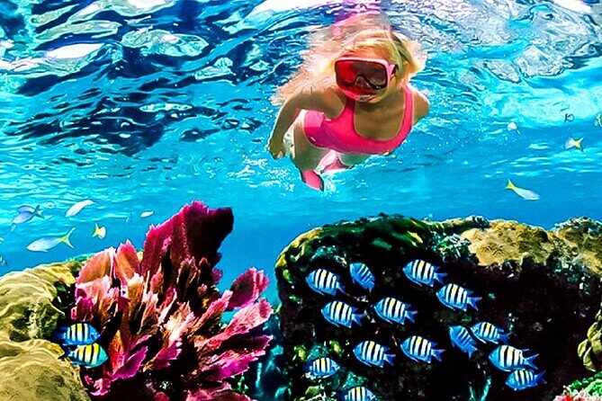Family Fun-Snorkeling with Lunch Stop from Montego Bay - What Makes This Tour Stand Out