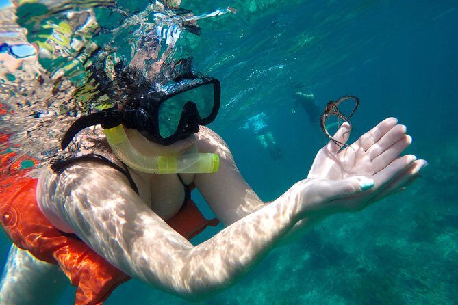 Family Snorkeling Adventure Punta Cana - The Authentic Experiences and Honest Feedback