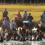 Famous Chincoteague Island Pony Swim Boat and Jet Ski Rentals - Who Should Consider This Tour?