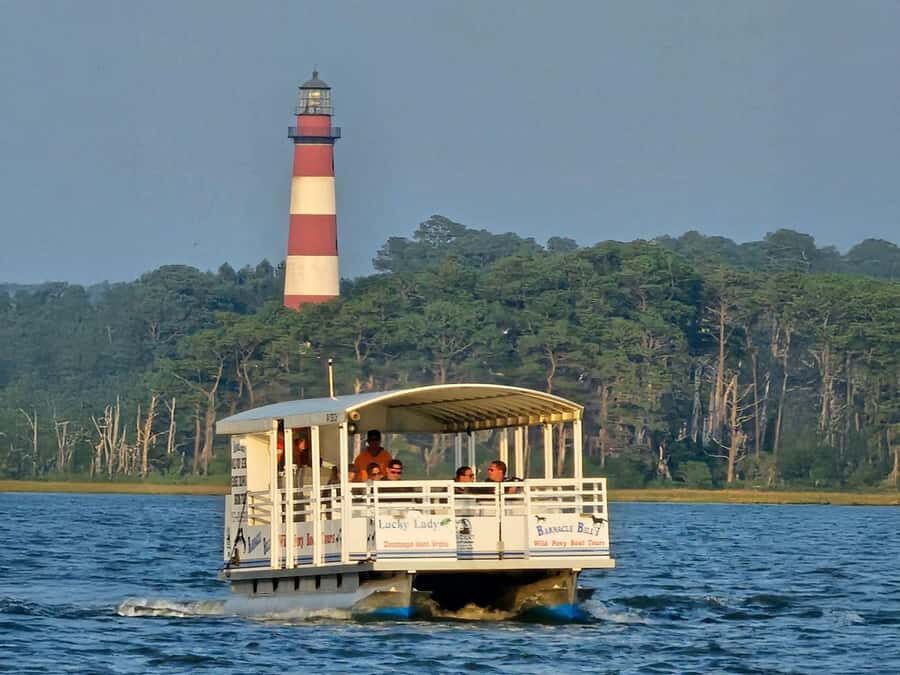 Famous Chincoteague Pony Cruise with Expert Narration - Practical Details: What You Need to Know