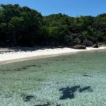 FANTASTIC Green Island and Sea Turtles - Half Day share boat trip - Who Is This Tour Best For?