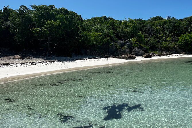 FANTASTIC Green Island and Sea Turtles - Half Day share boat trip - Who Is This Tour Best For?