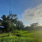 Farm Day Tour with Dining Experience - Farm-To-Table Lunch