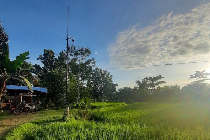 Farm Day Tour with Dining Experience - Farm-To-Table Lunch