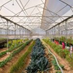 Farm to Table Experience in Jodhpur - Authentic Insights from Visitors