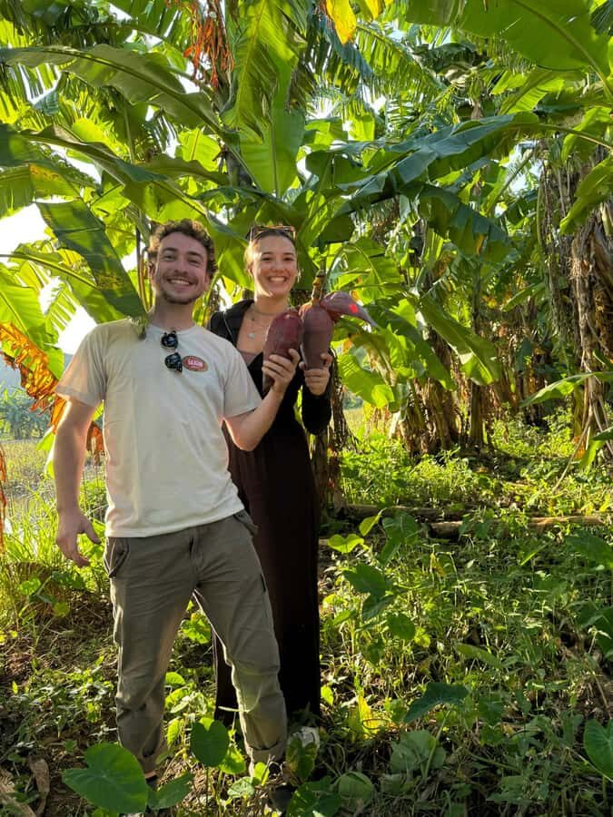 Farming and Cooking Experience at a Local Ninh Binh Farm - The Itinerary Breakdown