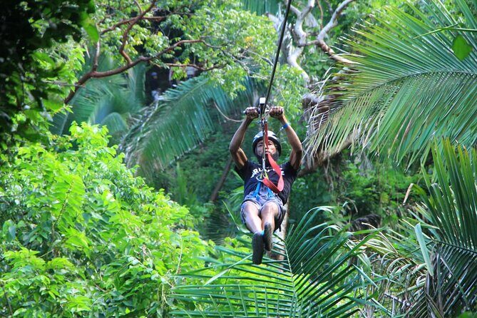 Feel the adrenaline and launch the 11-line zip line - Who Will Love This Tour?