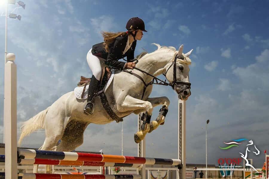 Fergana: Valley Horses Complex Tour with Horse Riding - Who Will Love This Tour?