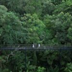 FH3 - Zipline Adventure at Hanuman World - Who It’s Best For