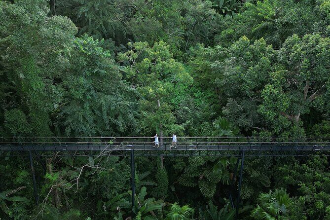 FH3 - Zipline Adventure at Hanuman World - Who It’s Best For