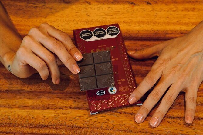 Fine Mexican Chocolate Tasting: A Sensory Luxury Journey - Meeting Point and Practical Details