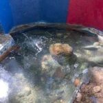 Fire Water Historical Tour Adventure In St Ann Jamaica - Who Should Consider This Tour?