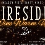 Fireside Warm-Up: Wine Tasting, S'mores & Mulled Wine in Kelowna - What to Expect: From Tasting to Fireside Fun