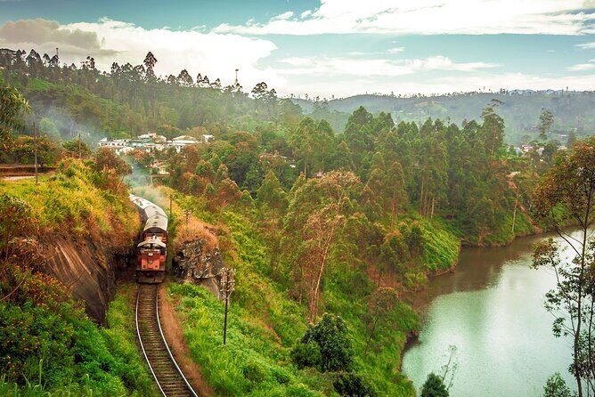 First Class Scenic Train Ticket From Kandy To Ella - What the Experience Includes