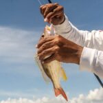 Fishing Adventure in Puerto Morelos with 26-foot Boat - Analyzing the Itinerary