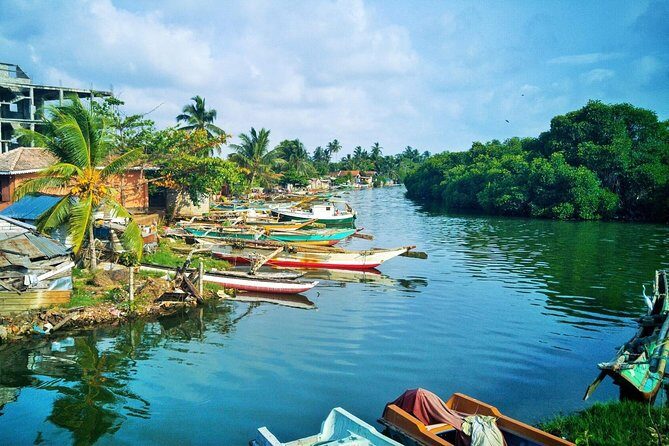 Fishing Village & Mangrove Tour Experince at Negombo (Starting from Colombo) - Who Will Benefit Most?