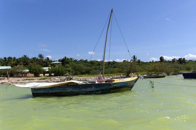 Flamingo Island - Laguna Oviedo - Transport, Timing, and Practicalities