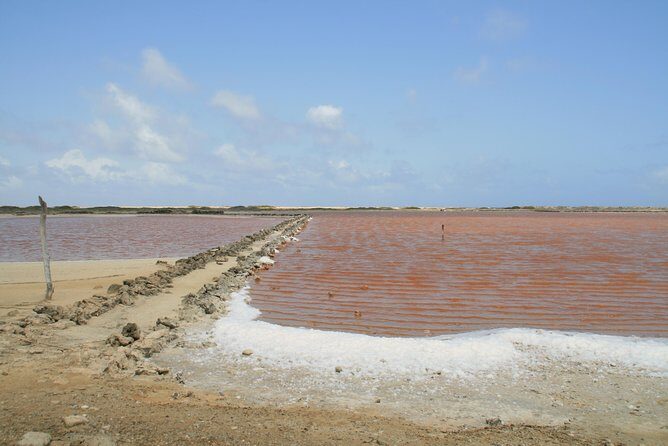 Flamingo & Mangrove Trip with Local Guide - Final Thoughts