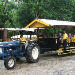 Flavors of Jamaica Food Tour from Falmouth - An Honest Look at the Value