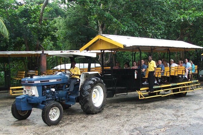 Flavors of Jamaica Food Tour from Runaway Bay - What You’ll Do During the Tour