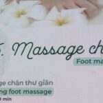 Flexible Nha Trang Half Day Tour to Serene Garden - What to Expect from the Experience