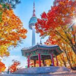 Flexible Private Guided Tour From Incheon Airport and Port - Who Will Love This Tour?