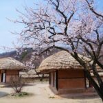 Flexible Private Guided Tour In Suwon(Optional layover) - An In-Depth Look at the Suwon Private Tour