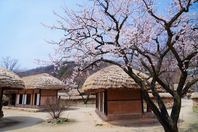 Flexible Private Guided Tour In Suwon(Optional layover) - An In-Depth Look at the Suwon Private Tour