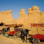 Flexible Private Turpan Day Tour from Urumqi with Lunch - Authentic Experiences and Insights