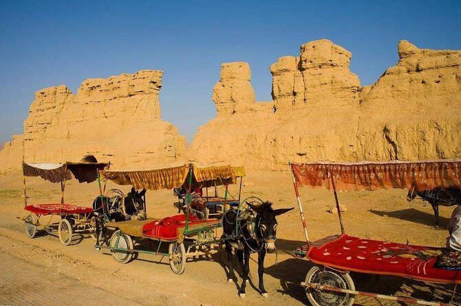 Flexible Private Turpan Day Tour from Urumqi with Lunch - Authentic Experiences and Insights