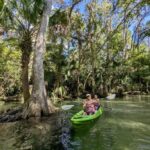 Florida: Rock Springs Run Clear Kayak Adventure - What to Expect During the Tour