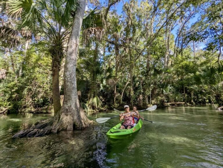 Florida: Rock Springs Run Clear Kayak Adventure - What to Expect During the Tour