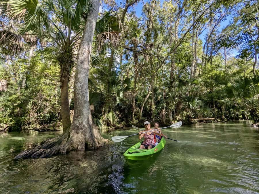 Florida: Rock Springs Run Clear Kayak Adventure - What to Expect During the Tour
