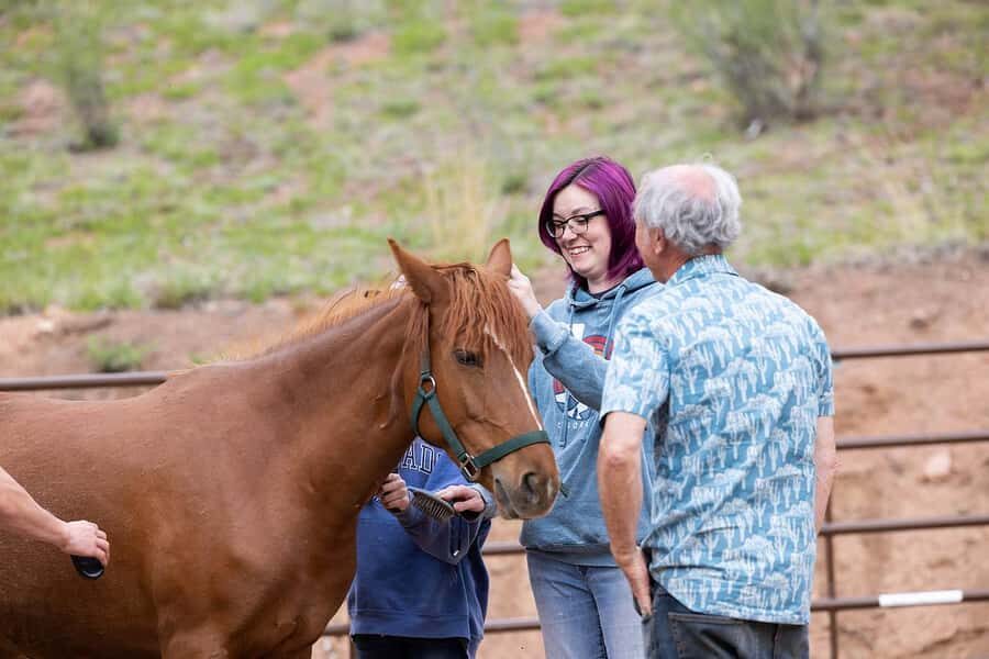 Florissant: Private Horse Experience with Rescue Mustangs - The Sum Up