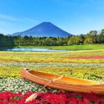 Flower Viewing at Kawaguchiko & Mt. Fuji Day Tour with Kusa Mochi - The Value of This Tour