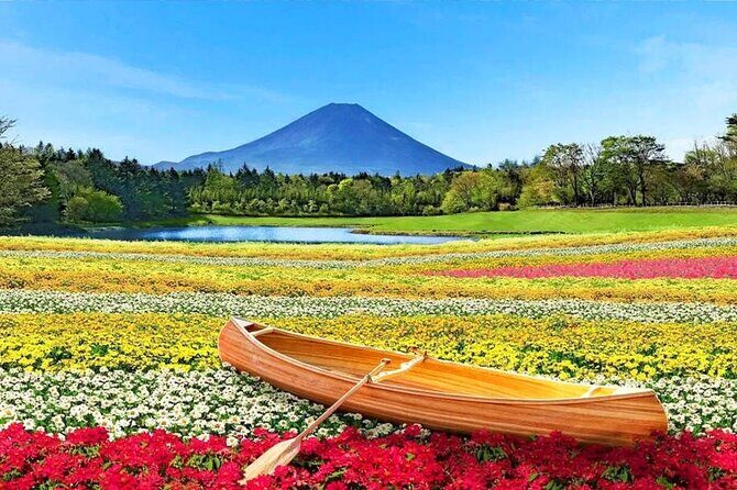 Flower Viewing at Kawaguchiko & Mt. Fuji Day Tour with Kusa Mochi - The Value of This Tour